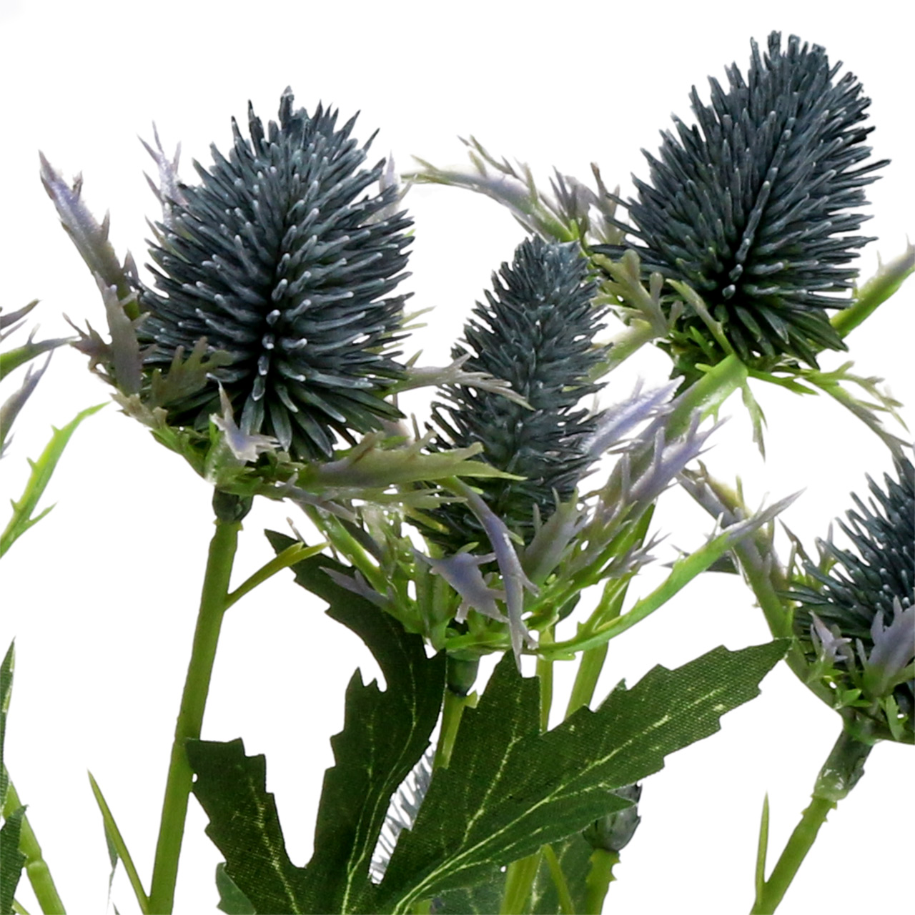 Floristik21.de Distel künstliche Blume Blau 70cm - günstig im ...