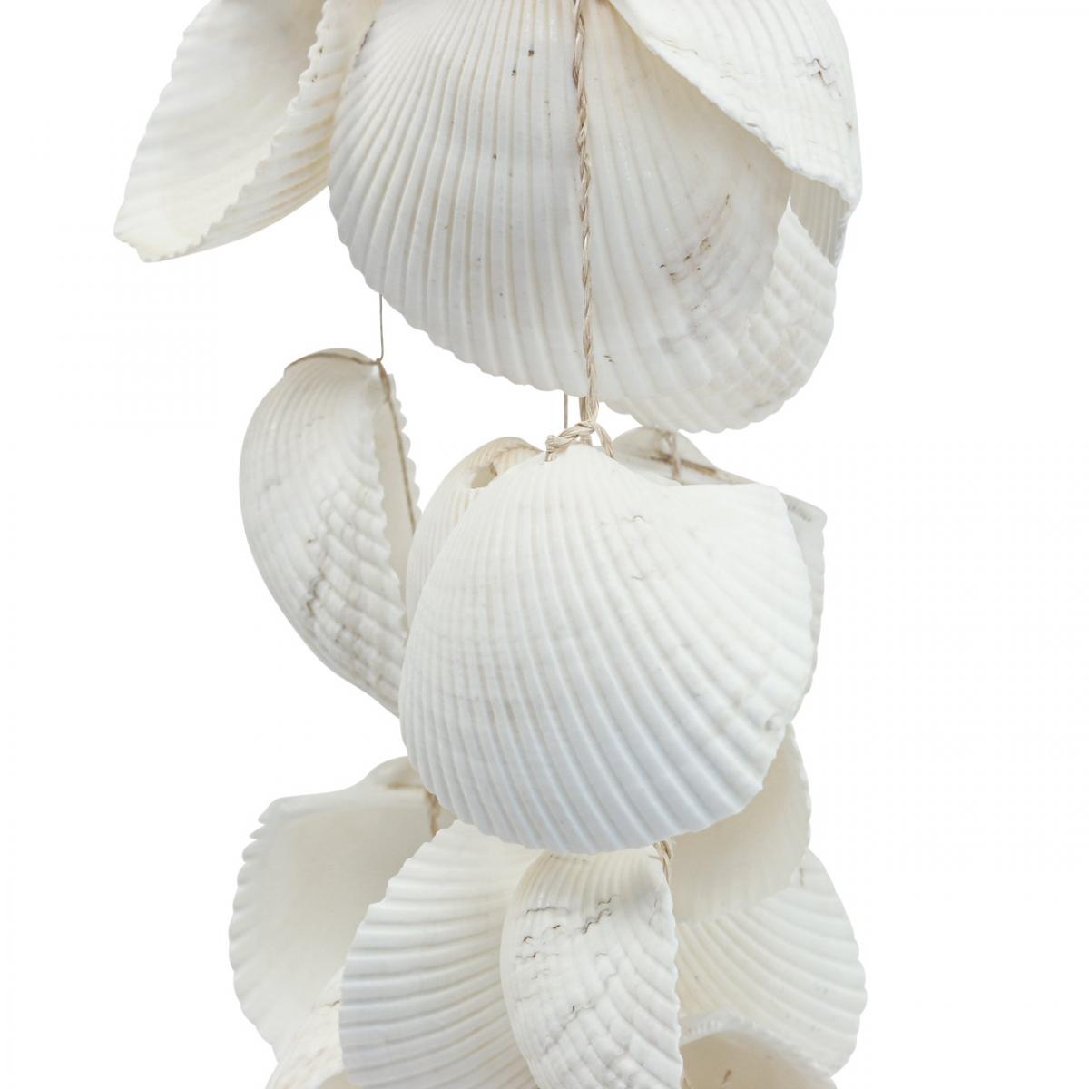 Floristik21.de Muscheln Girlande Maritime Deko Muschelgirlande L87cm ...