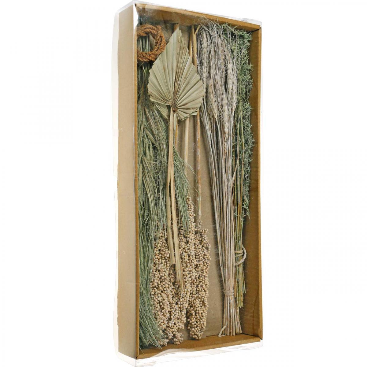 Floristik21.de Trockenblumen Exoten Weiß-Natur Mix, Trockenfloristik ...