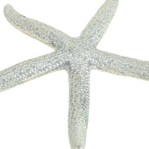 Floristik21.de Seestern Silber Maritime Deko Seesterne Sommerdeko 7,5cm ...